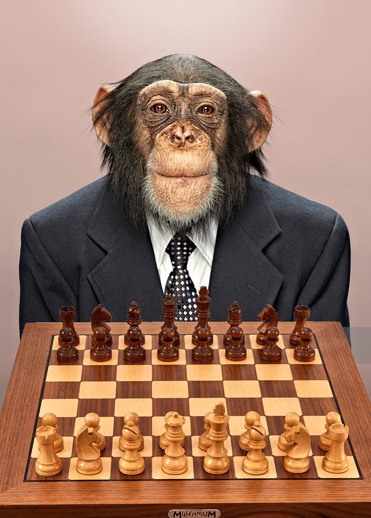 Tiago's Promo Codes — Tiago Alexandre invitation.codes