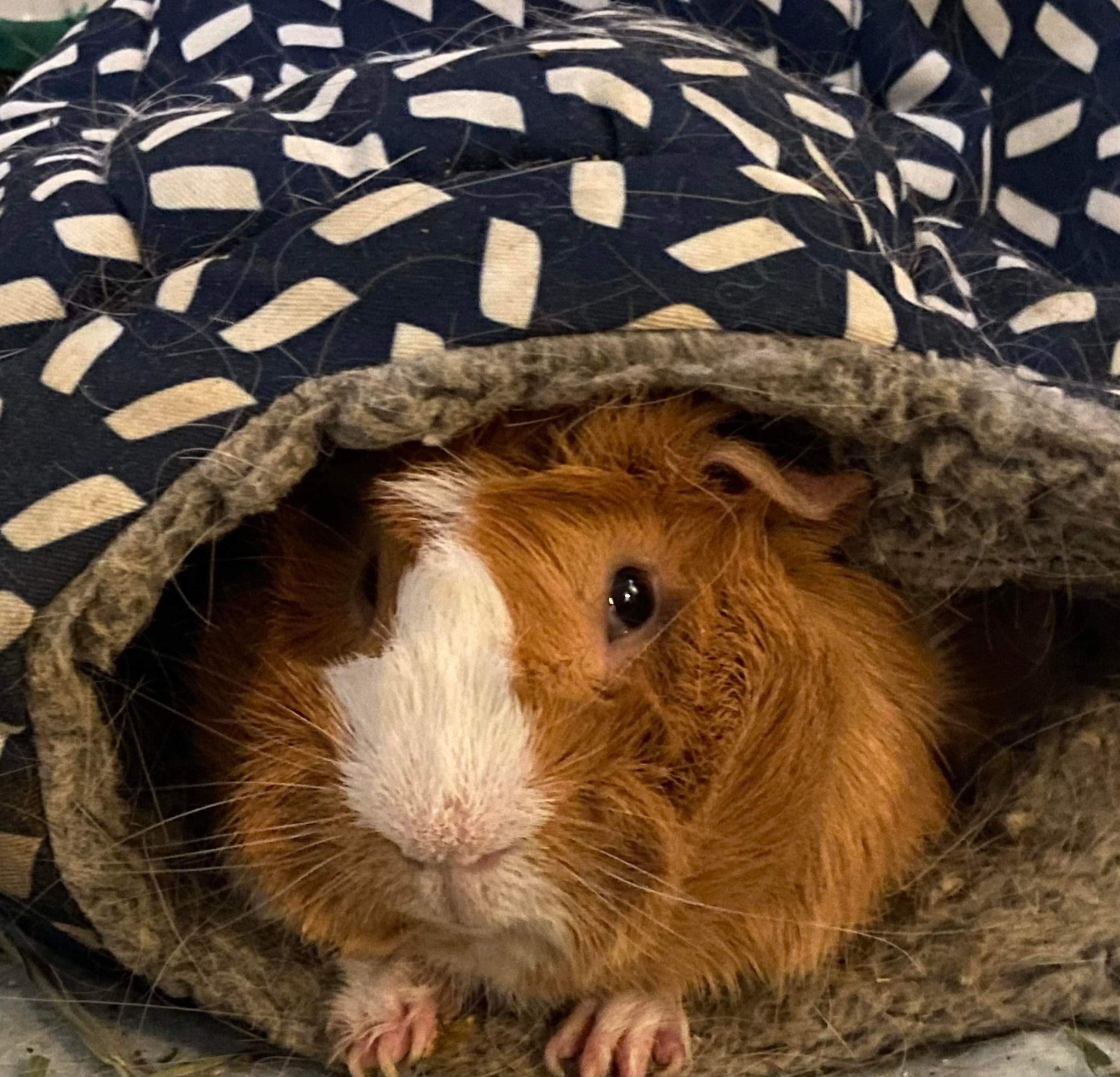 Hanna ♡ — Hanna Johnson invitation.codes